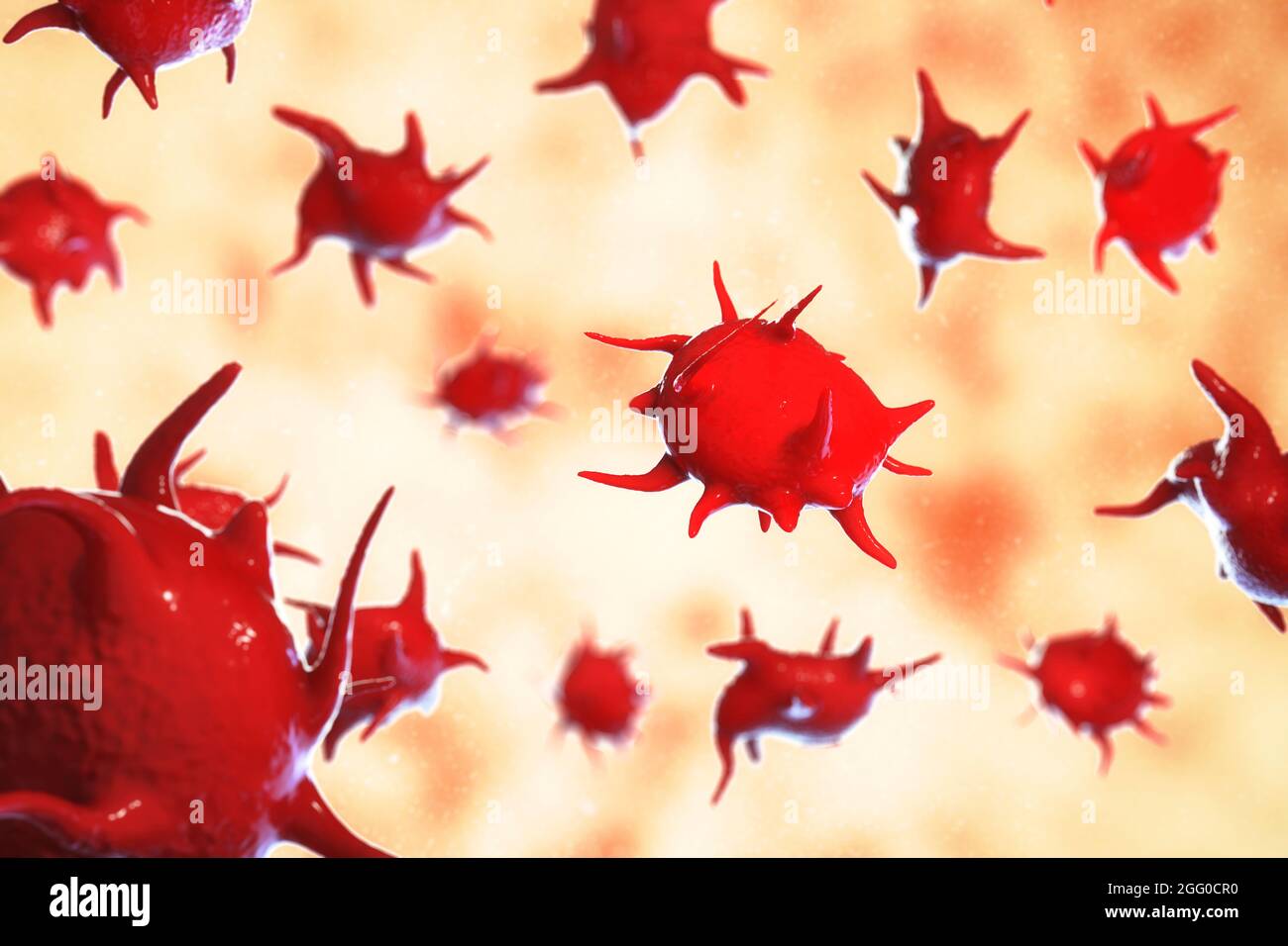 Activated platelets, illustration Stock Photo - Alamy