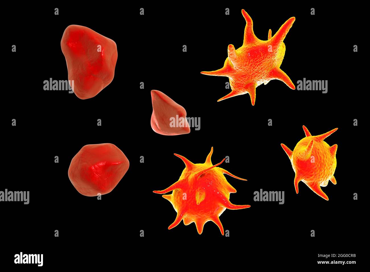 Platelet activating hi-res stock photography and images - Alamy