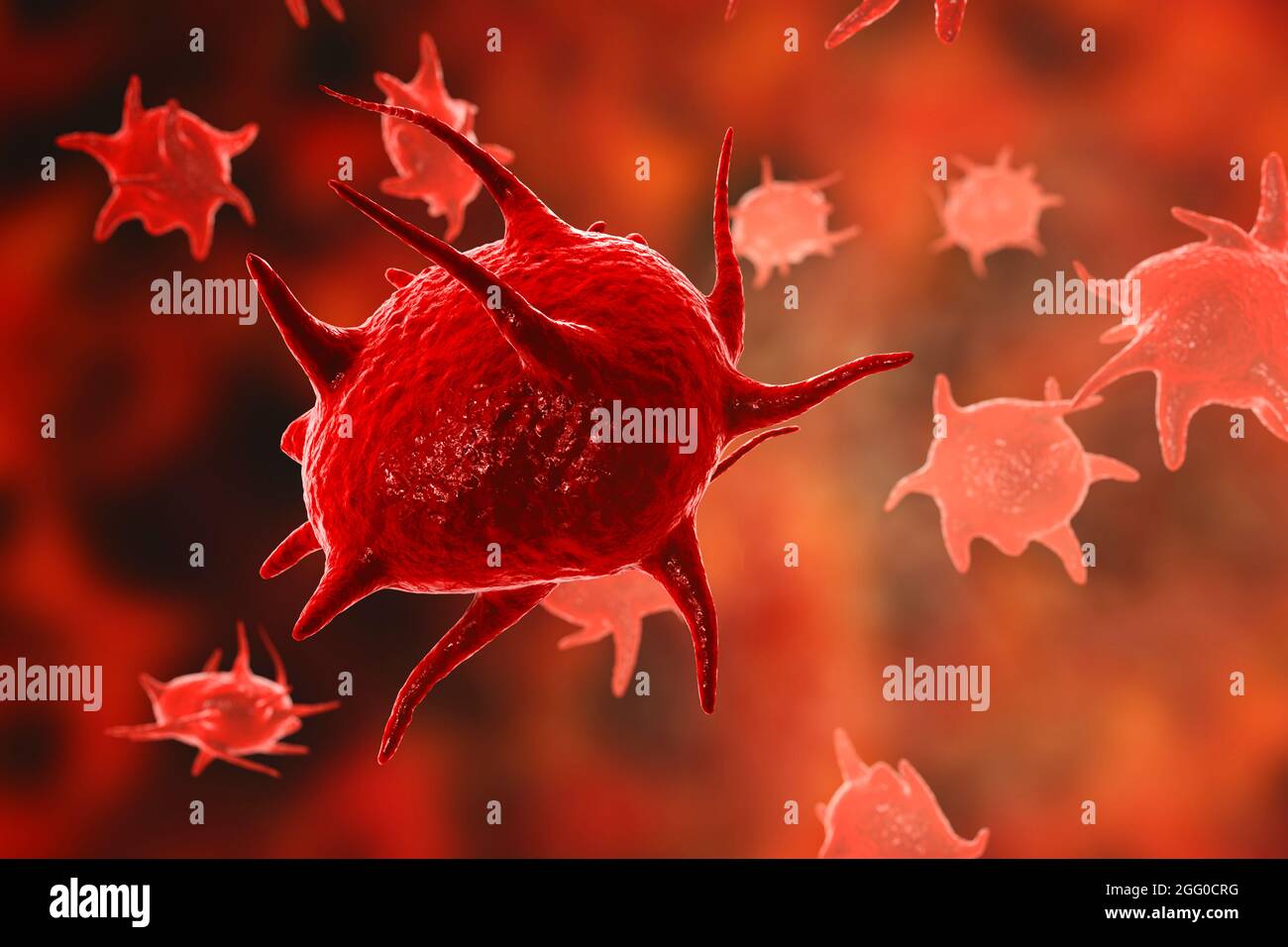 Human blood smear platelets hi-res stock photography and images - Alamy
