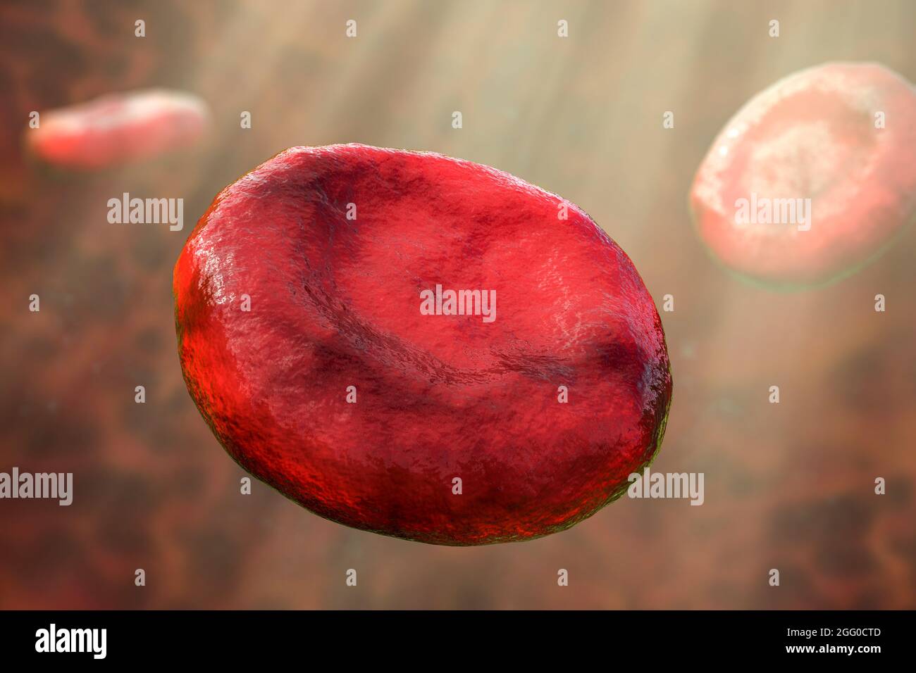 Red blood cells (erythrocytes), illustration Stock Photo - Alamy