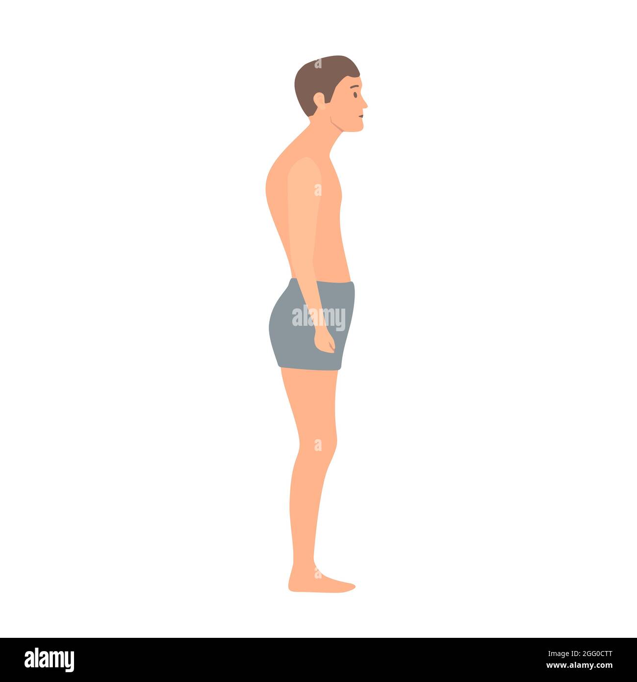 Upper and lower crossed syndromes, conceptual illustration Stock Photo ...