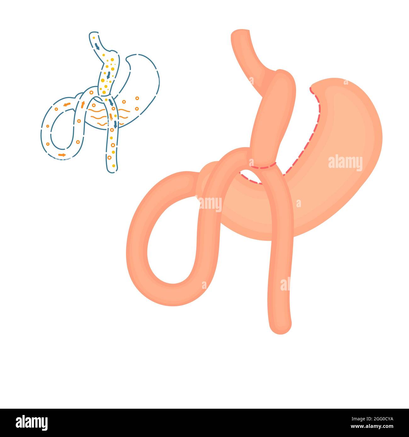 No bypass here Cut Out Stock Images & Pictures - Alamy