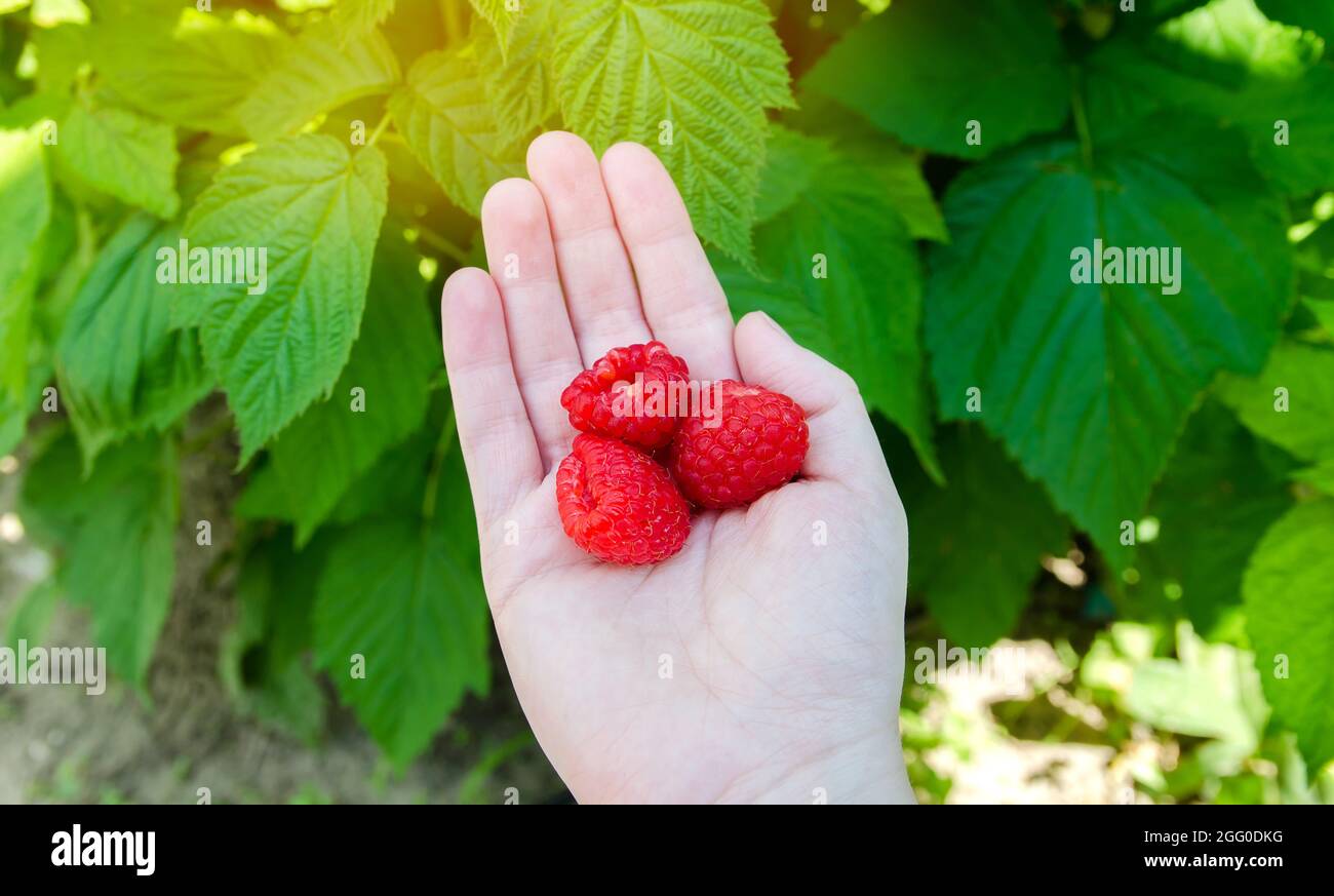 Big bush woman hi-res stock photography and images - Alamy