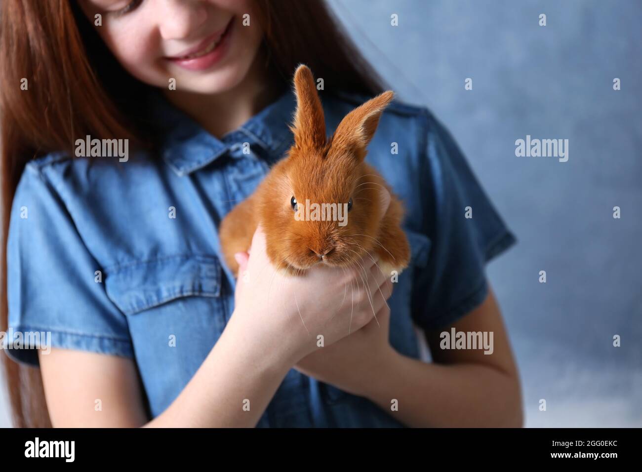 Cute girl holding rabbit on blue wall background Stock Photo - Alamy