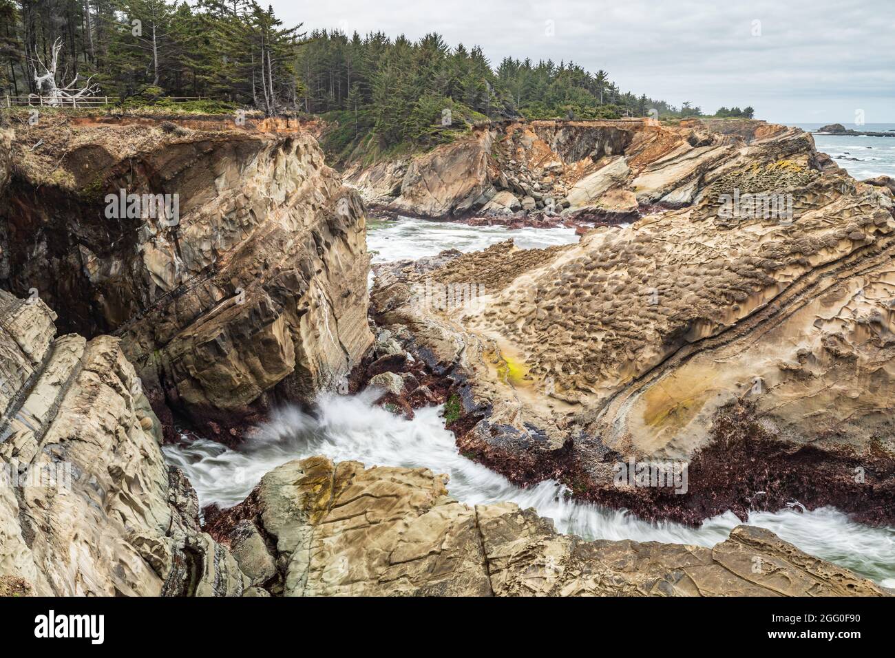 Shore Acres State Park, Oregon, USA. Surf and cliffs on the Oregon ...