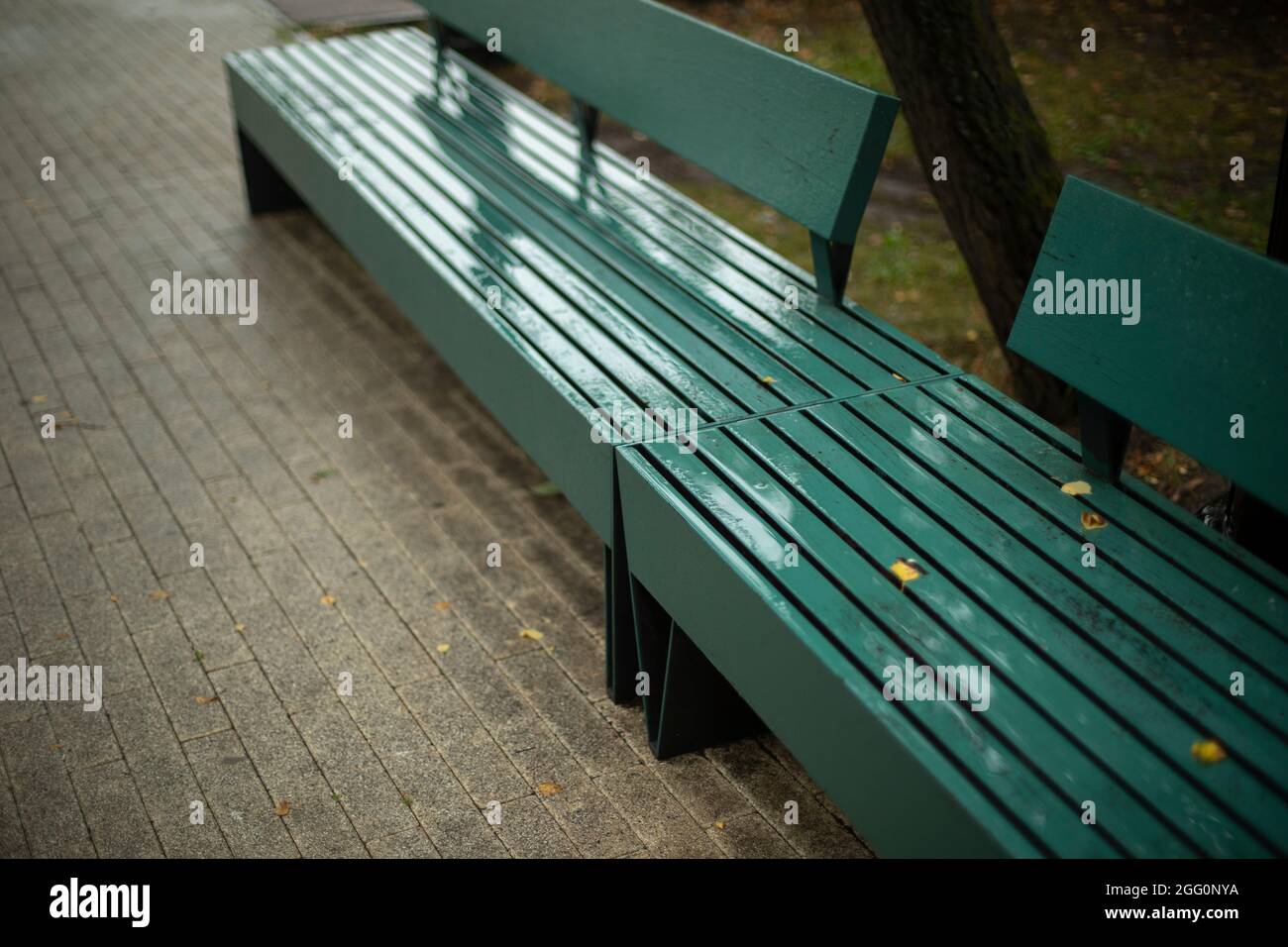 Bench in the park in the rain. Park furniture in bad weather. Wet ...