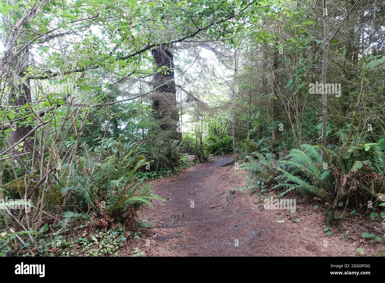 The Olympic peninsula of Washington state Stock Photo - Alamy