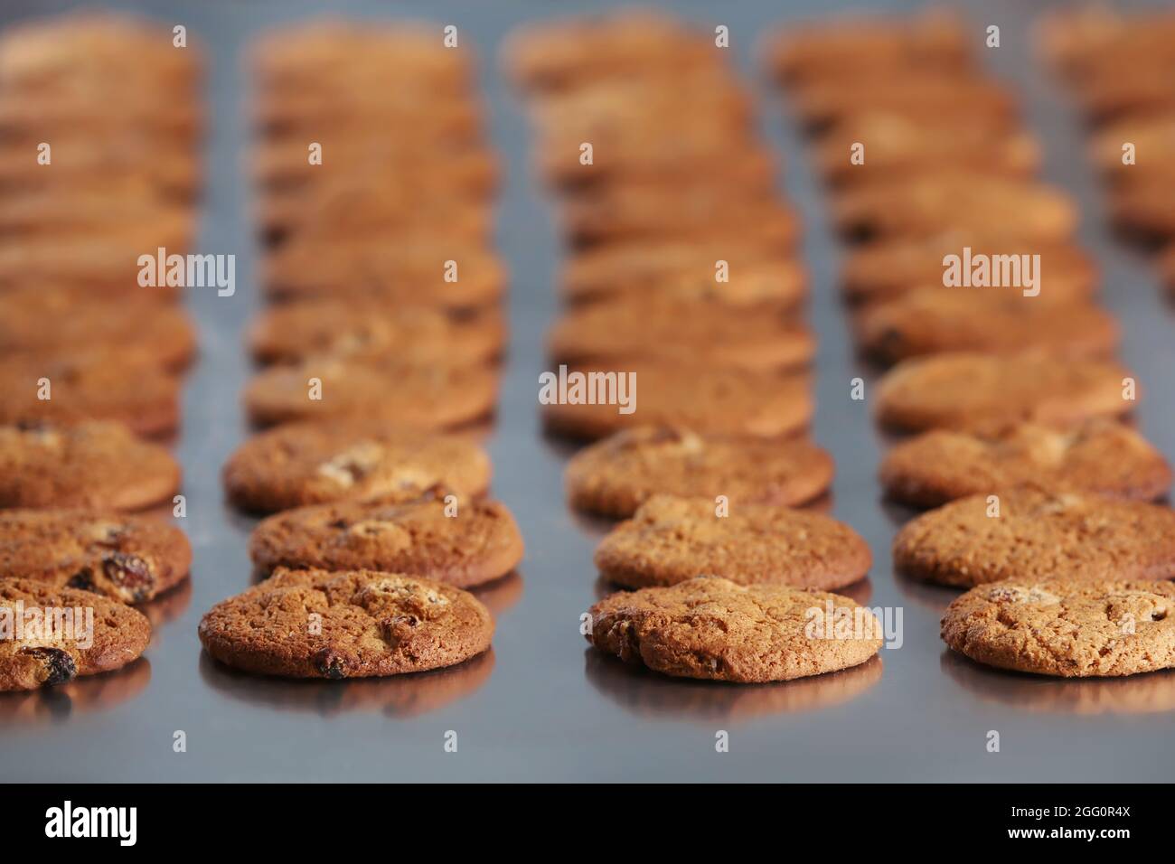 Production line of baking cookies, closeup Stock Photo - Alamy
