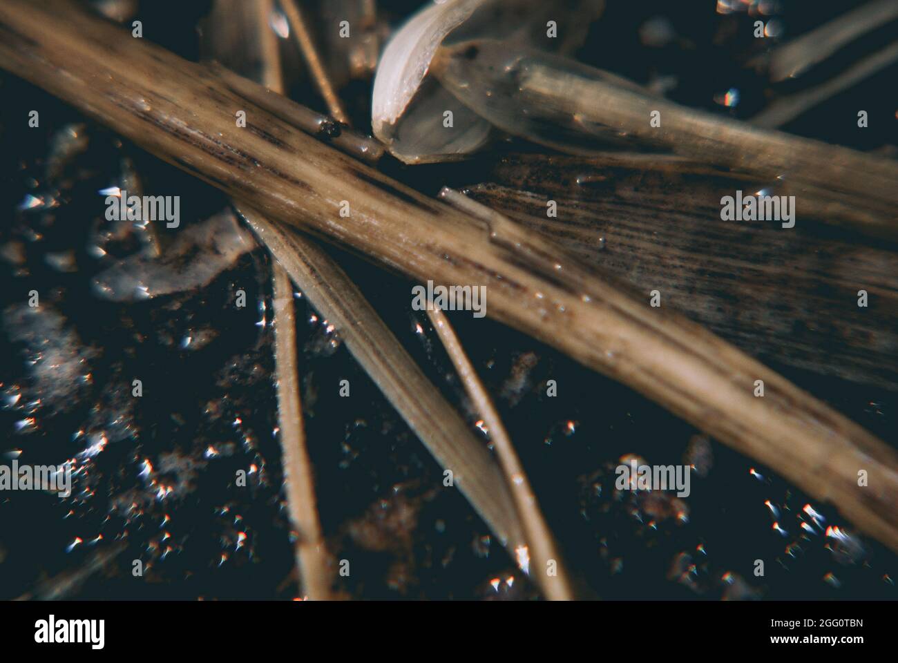 Wetf hi-res stock photography and images - Alamy