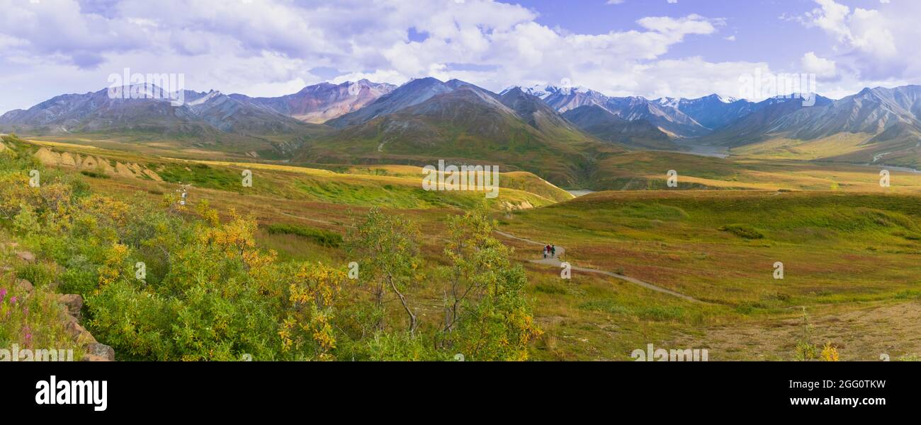 Panorama denali national park hi-res stock photography and images - Alamy