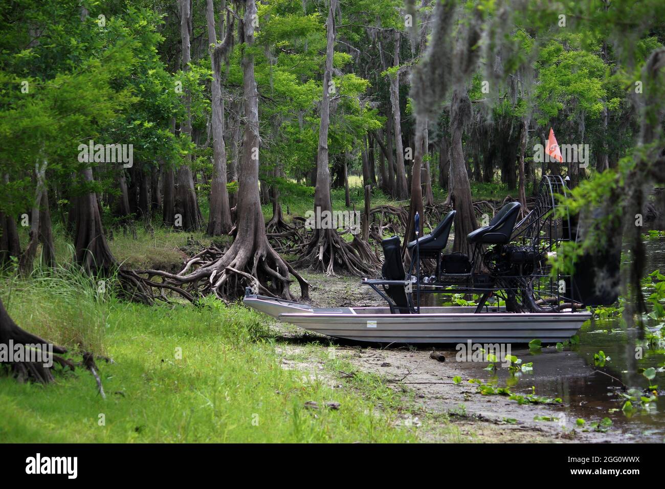 Always relaxing taking an airboat ride to a quiet tree lined beach ...