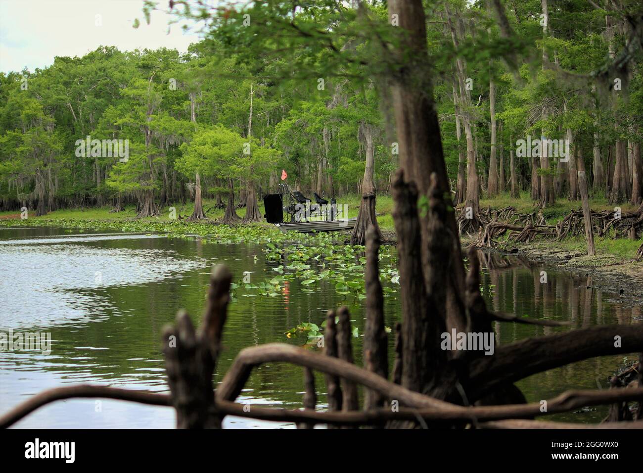 Always relaxing taking an airboat ride to a quiet tree lined beach ...