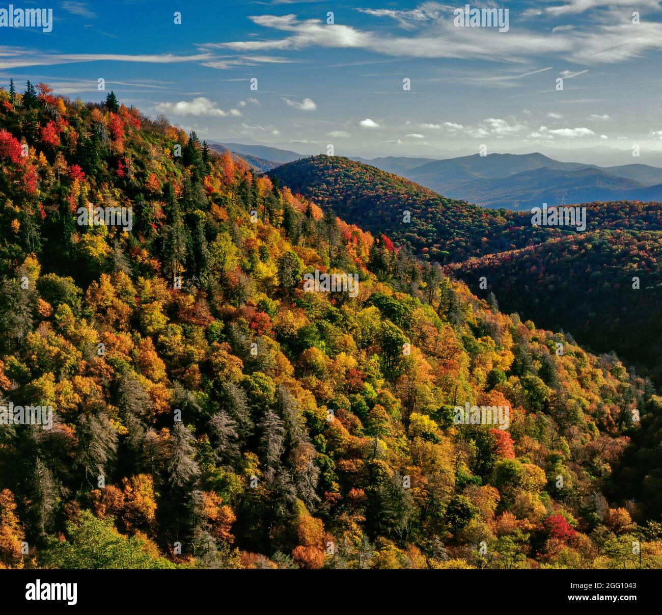 Autumn Color, East Fork Pigeon River Overlook, Blue Ridge Parkway ...