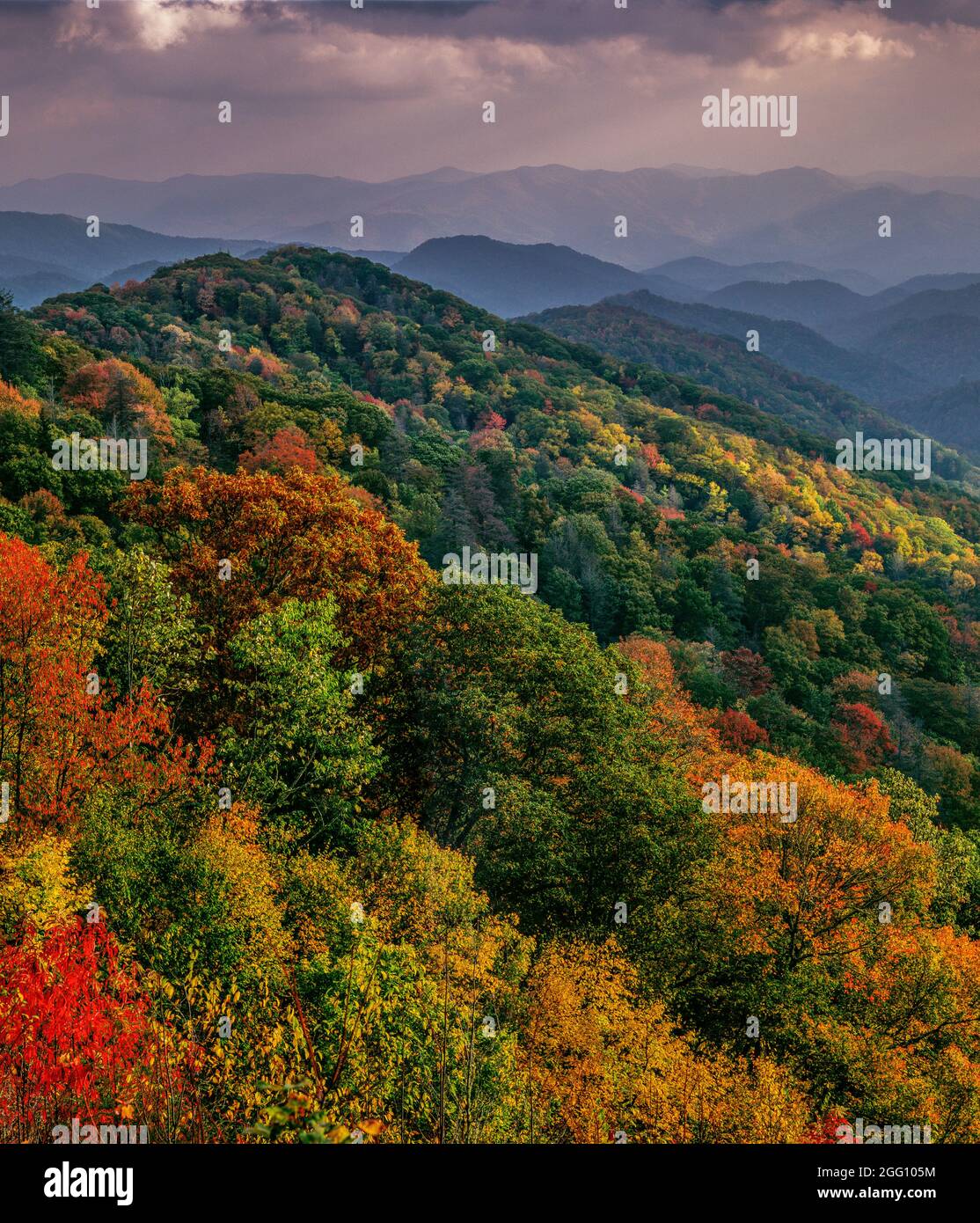 Appalachian mountains creek hi-res stock photography and images - Alamy