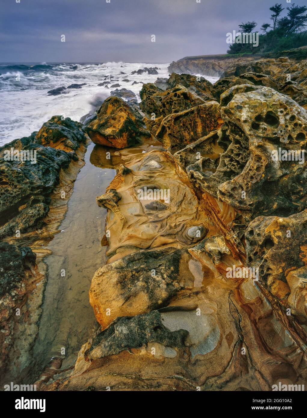 Salt point state park sonoma county hi-res stock photography and images ...