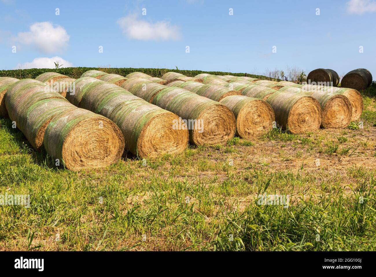 Eastern county hi-res stock photography and images - Alamy