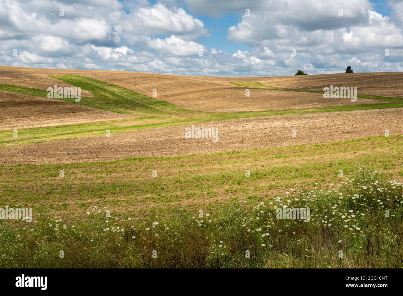 Field mowed hi-res stock photography and images - Alamy