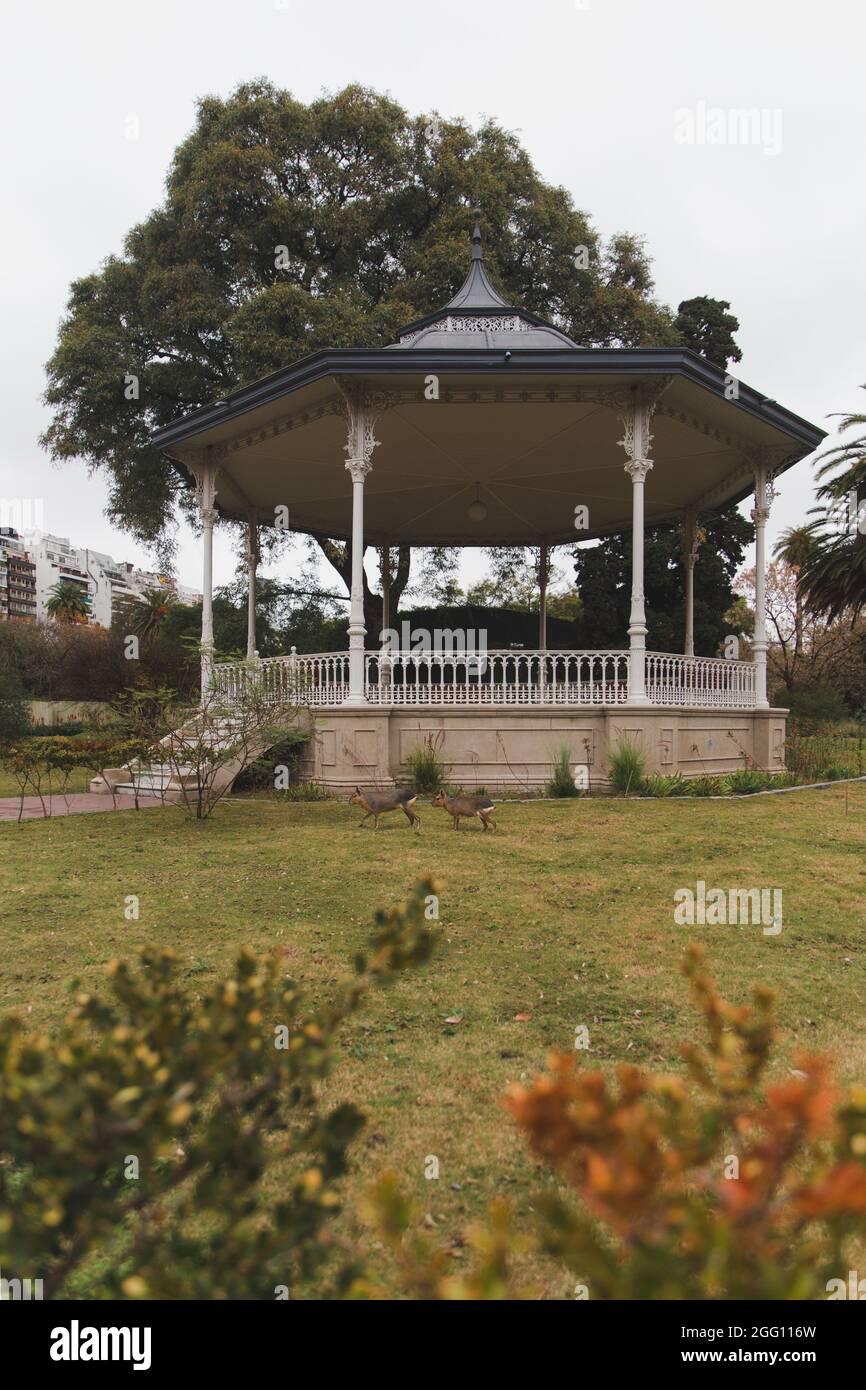 Ecoparque buenos aires hi-res stock photography and images - Alamy