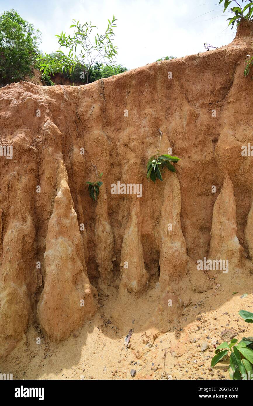 Gangani danga hi-res stock photography and images - Alamy