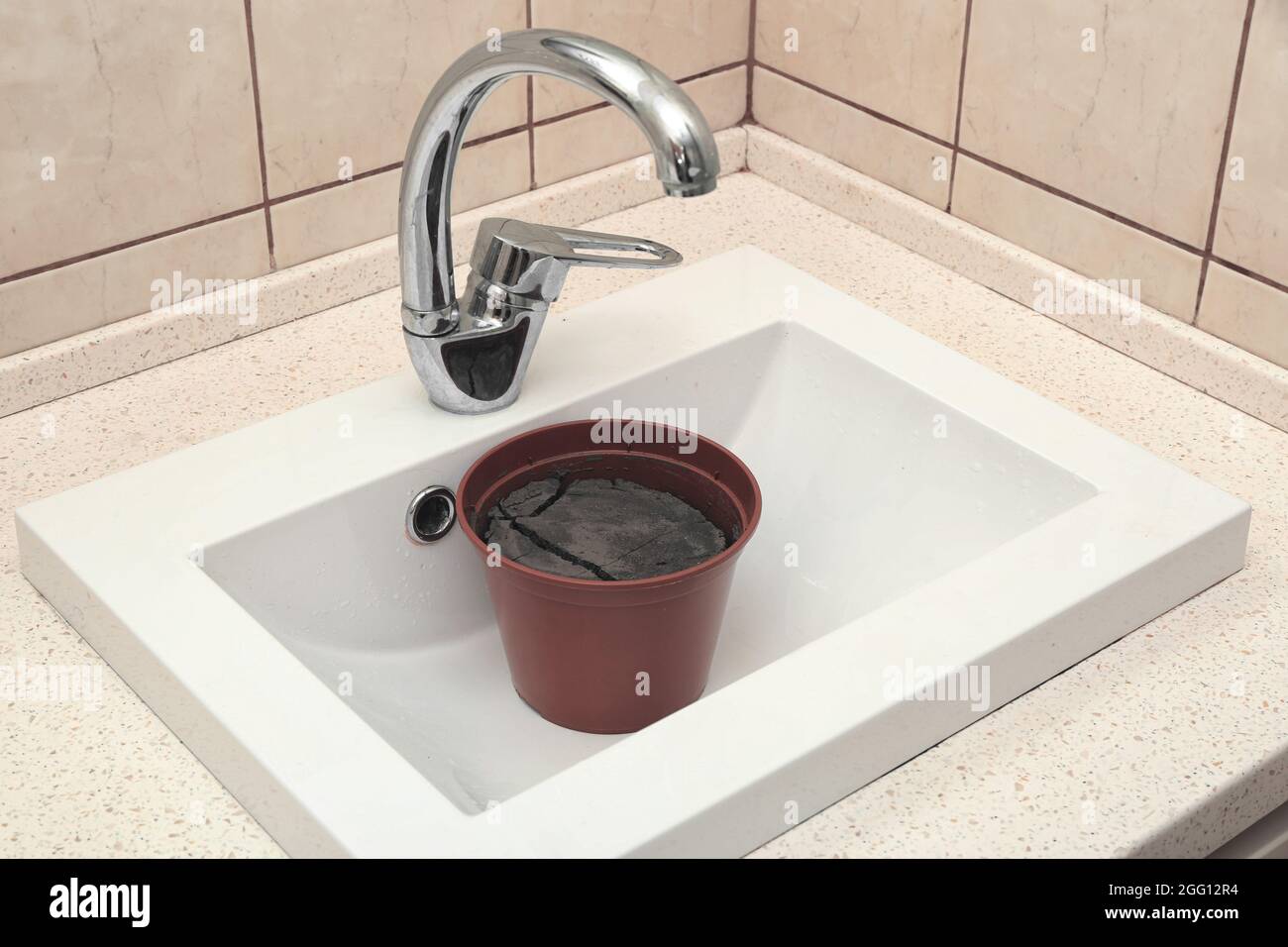 Water shortage concept. Pot with dry ground in white sink Stock Photo ...