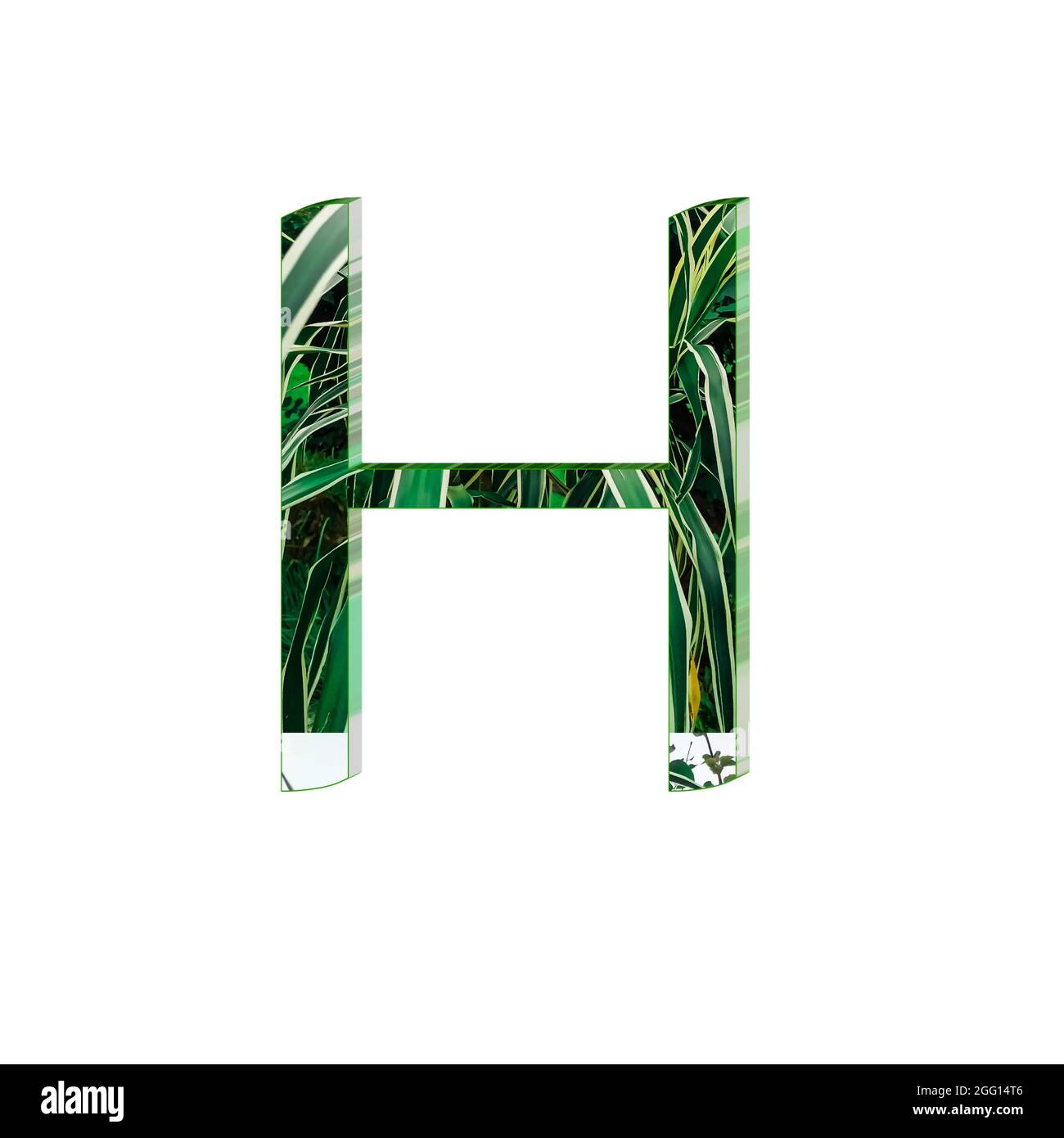 Green texture capital letter H colorful 3D abstract beautiful white ...