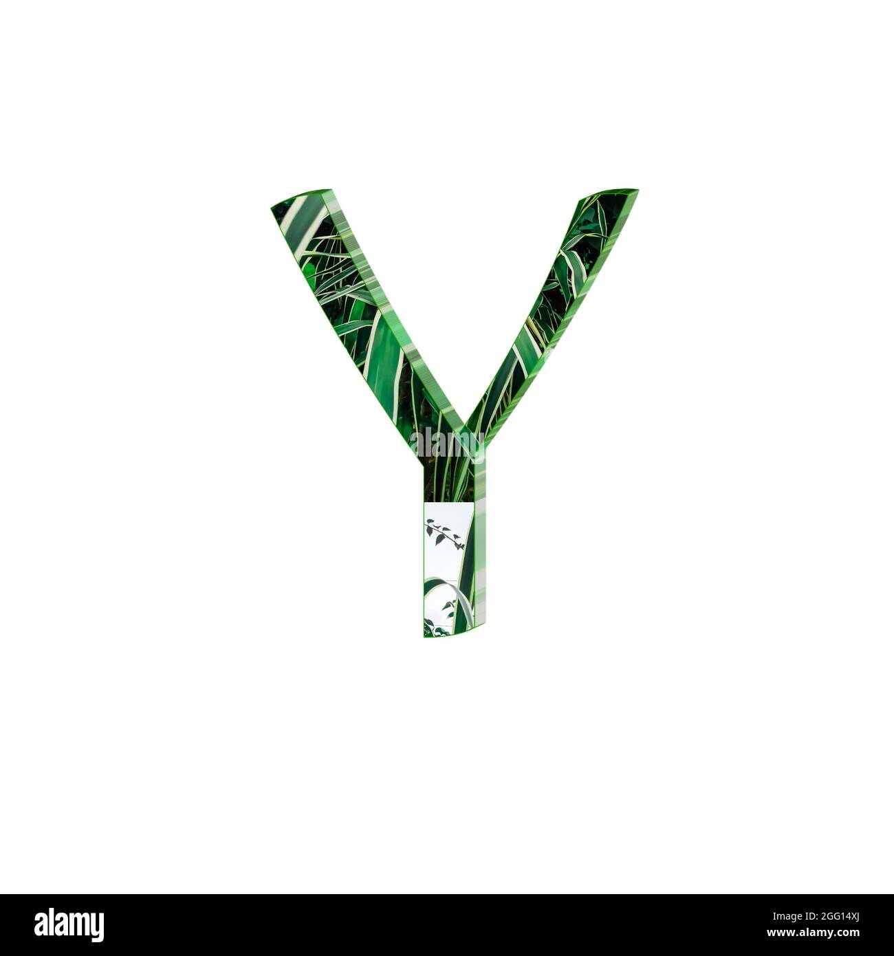 Green texture capital letter Y colorful 3D abstract beautiful white ...