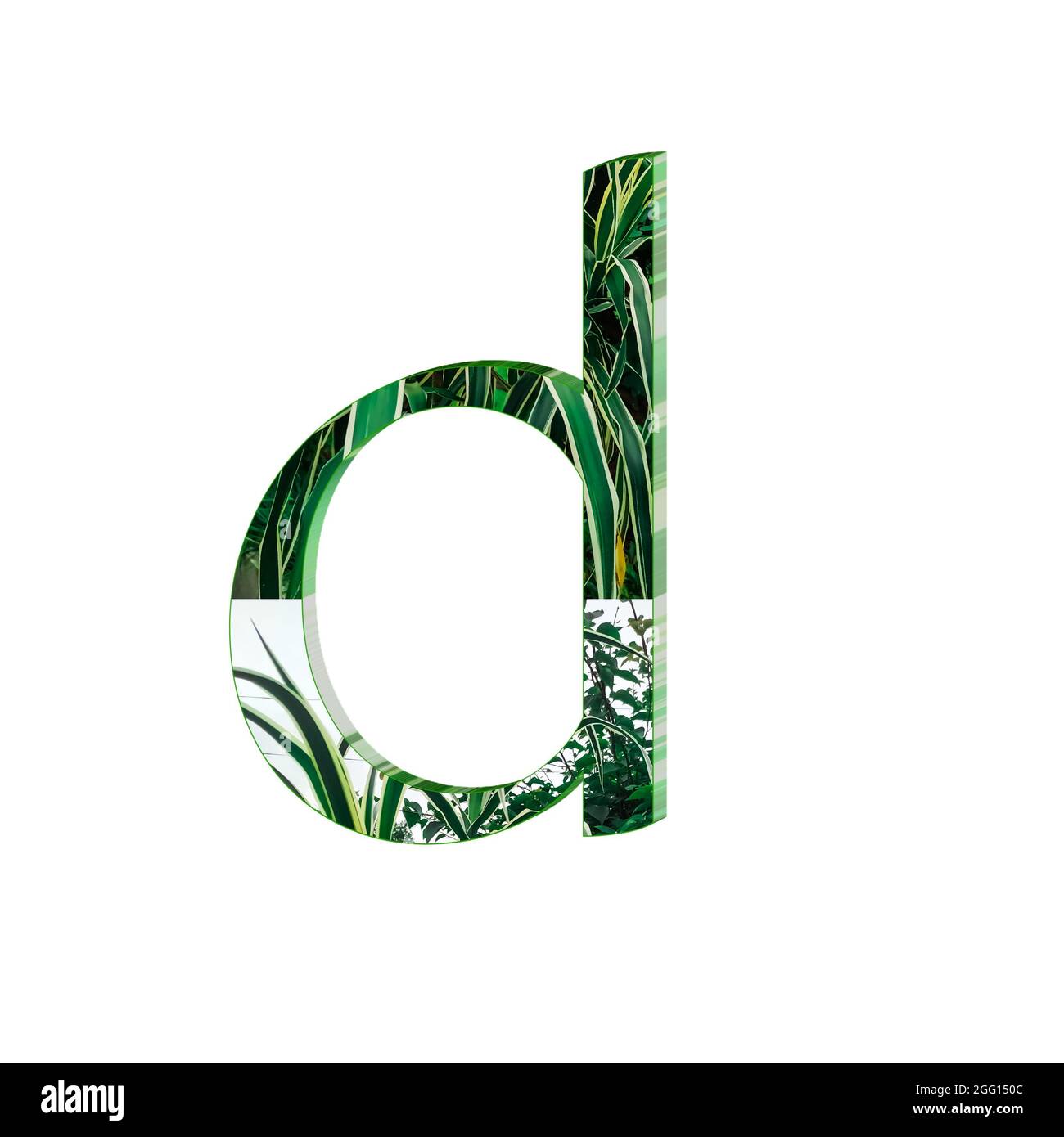 Green texture small letter d colorful 3D abstract beautiful white ...