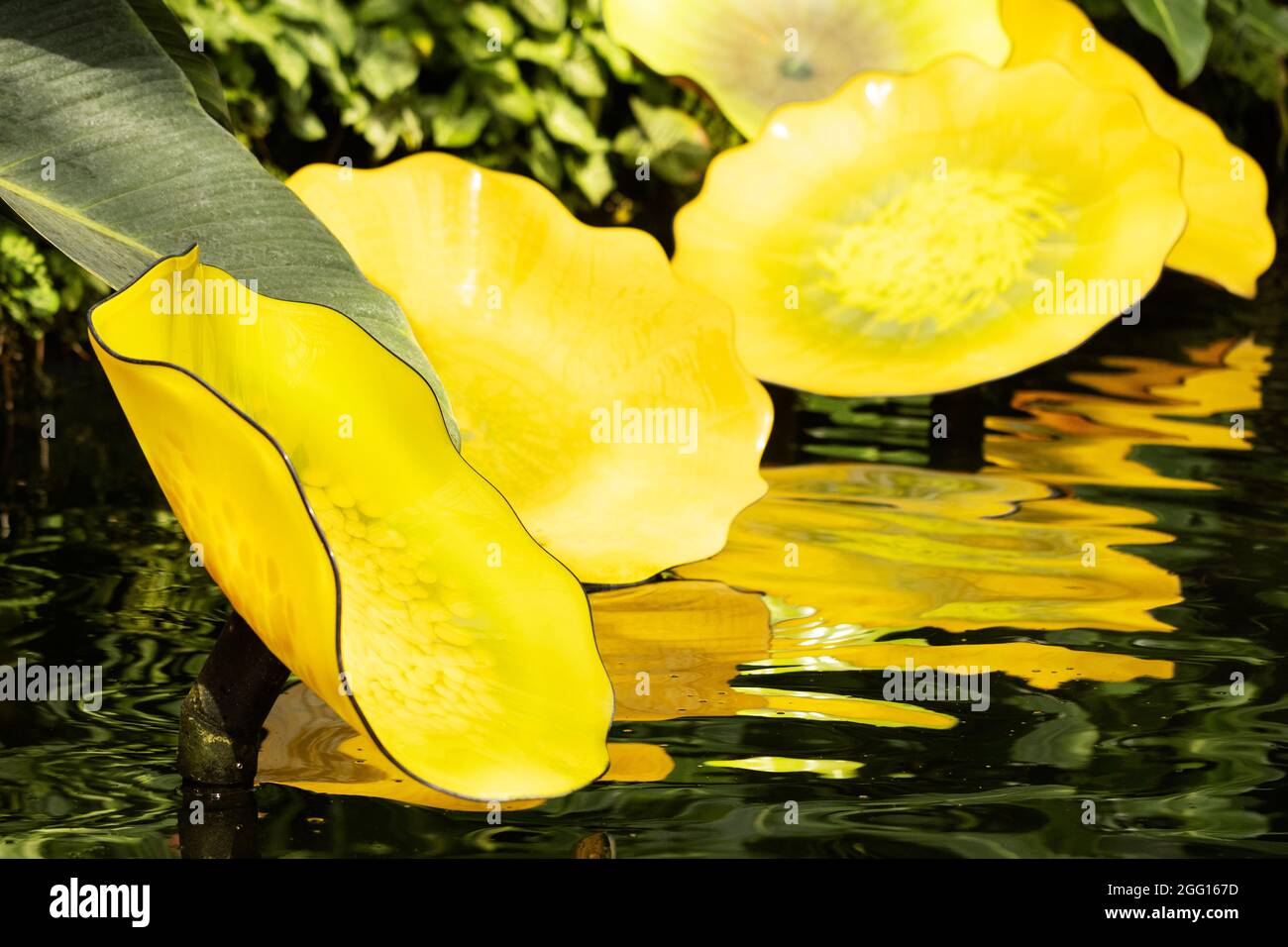 The Chihuly Persian Lilies glass sculptures in the Aroid House at ...