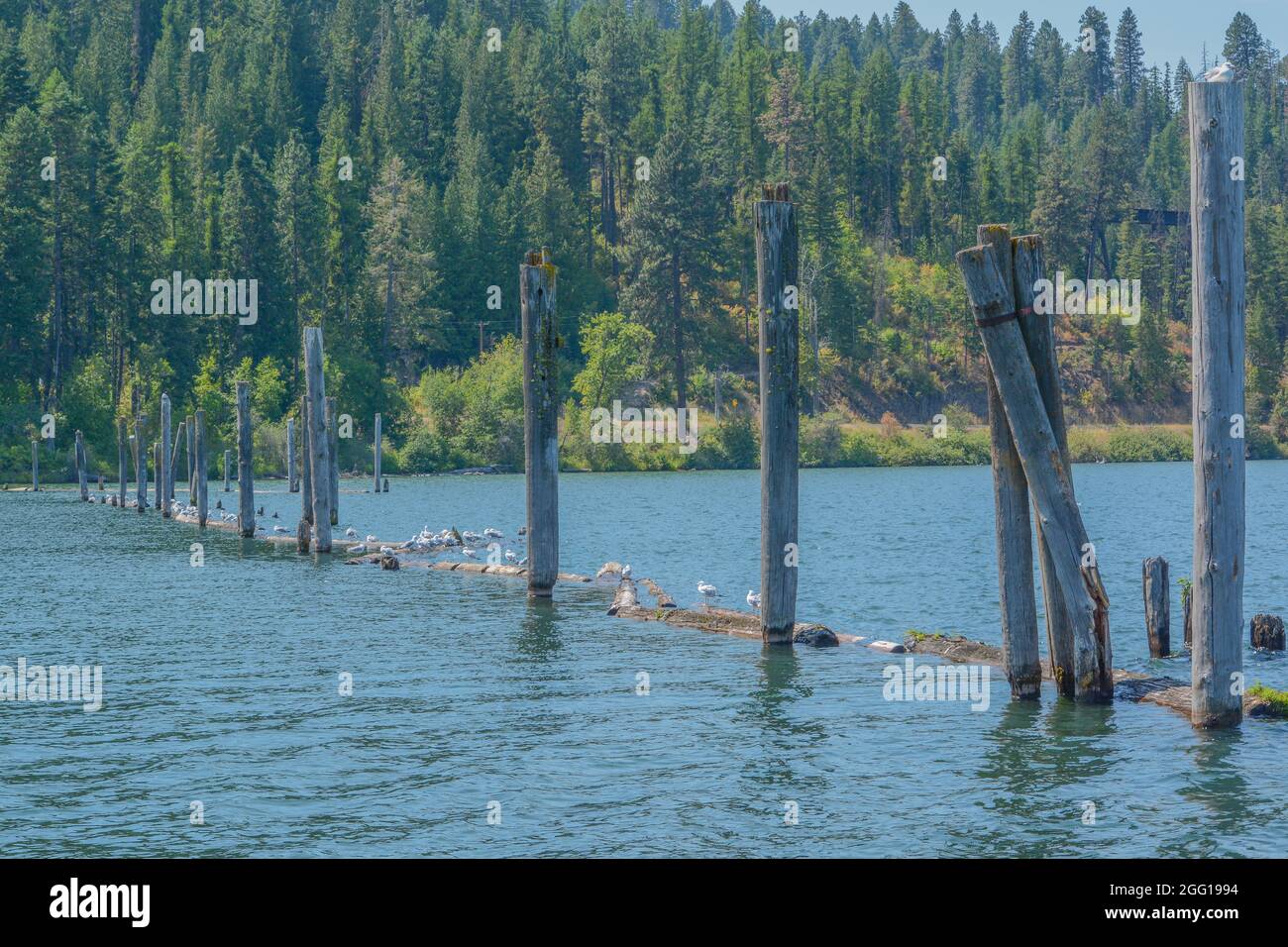 View of Chatcolet Lake in Heyburn State Park in the mountains of ...