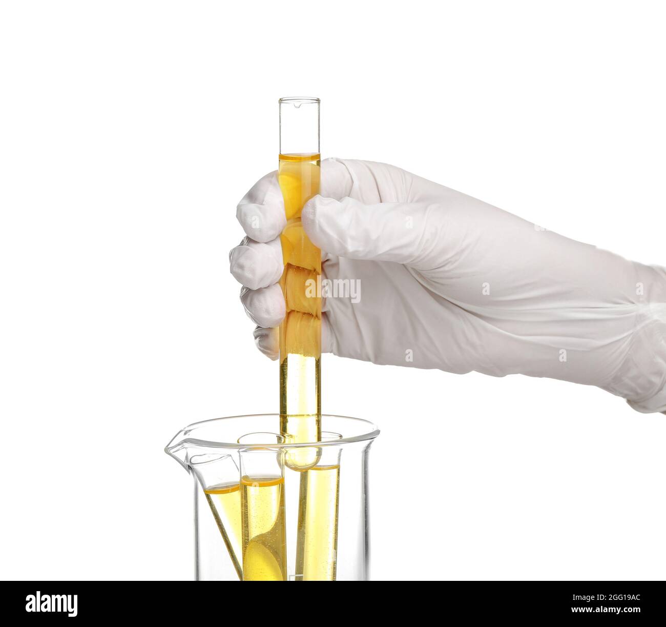 Hand in glove taking test tube with urine from beaker on white ...