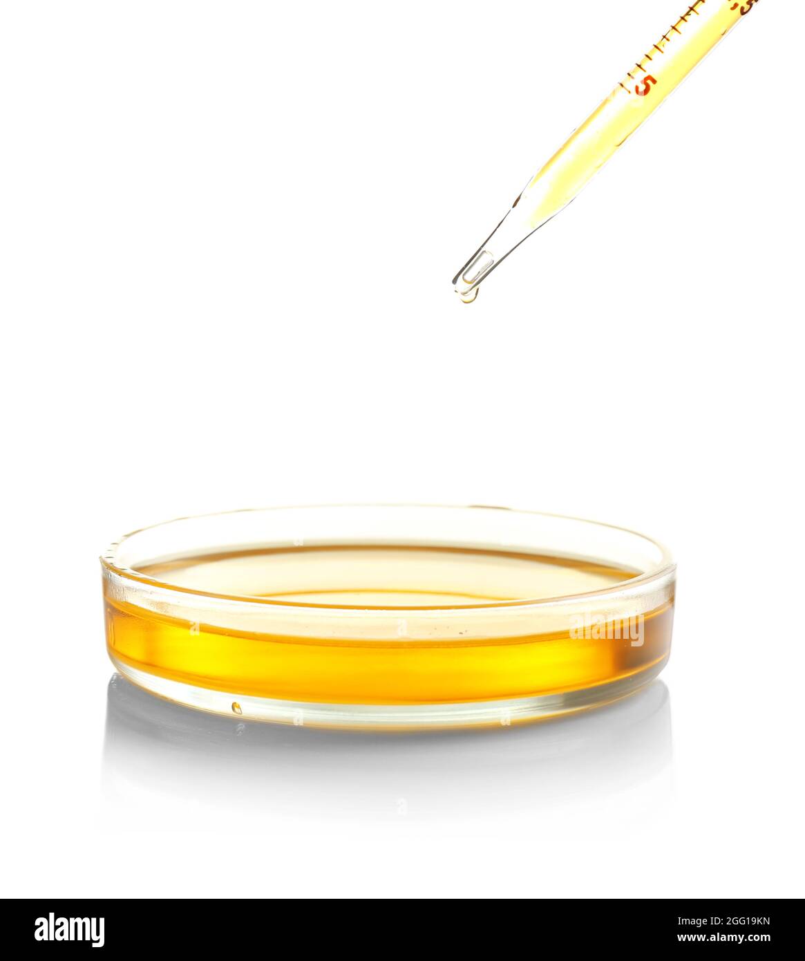 Dropping liquid to glass container on white background Stock Photo - Alamy