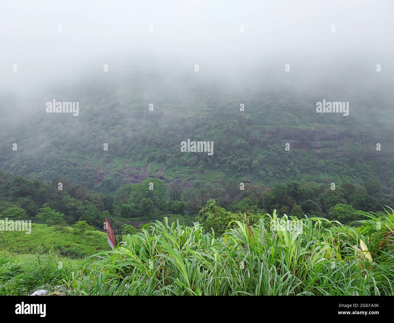 Monsoon 2021 india hi-res stock photography and images - Alamy