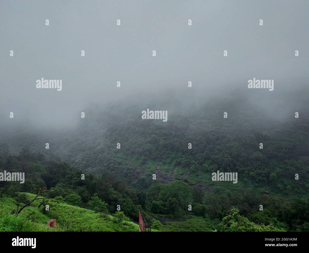 Pune , India - 20 February 2021, Lush green monsoon nature landscape ...