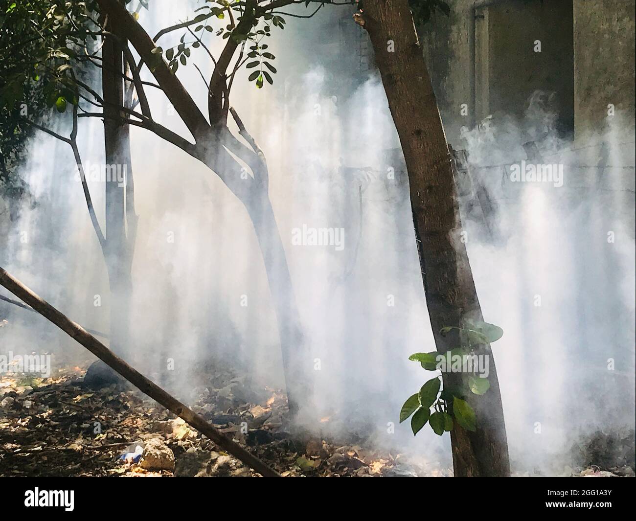 Mumbai , India - 31 March 2021, White smoke against the morning ...