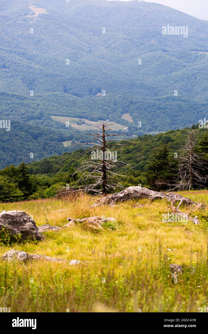 View from Whitetop Mountain in the Appalachian Mountains in Virginia ...