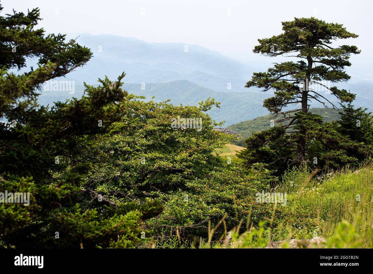 Whitetop mountain virginia hi-res stock photography and images - Alamy