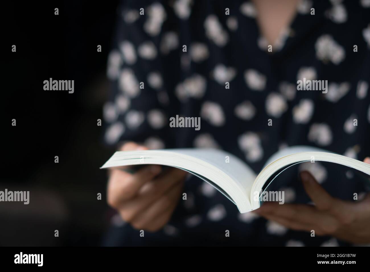 Peaceful reading environment hi-res stock photography and images - Alamy