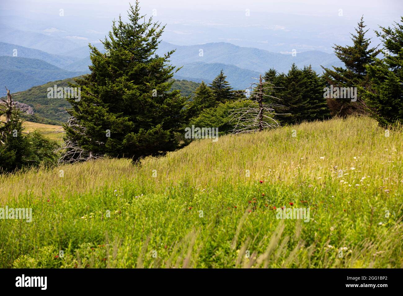 Whitetop mountain virginia hi-res stock photography and images - Alamy