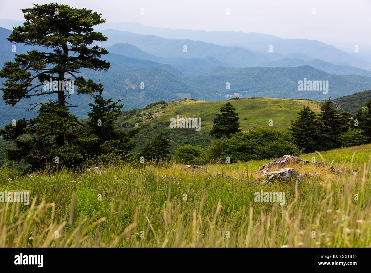 View from Whitetop Mountain in the Appalachian Mountains in Virginia ...