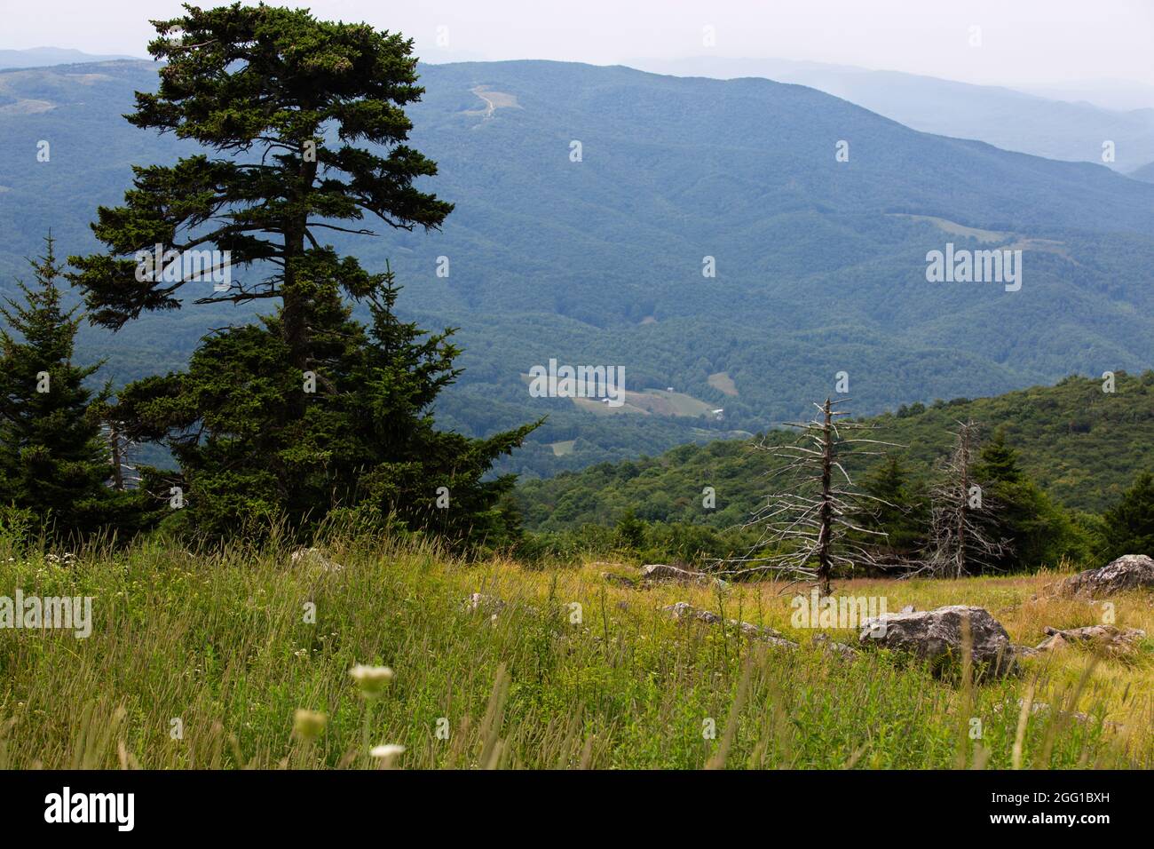 View from Whitetop Mountain in the Appalachian Mountains in Virginia ...