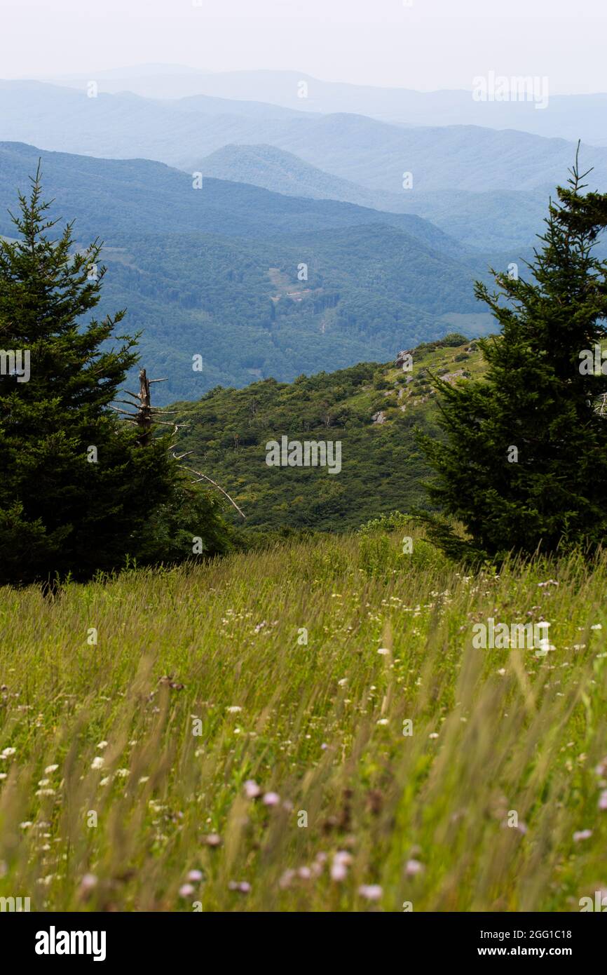 Whitetop mountain virginia hi-res stock photography and images - Alamy