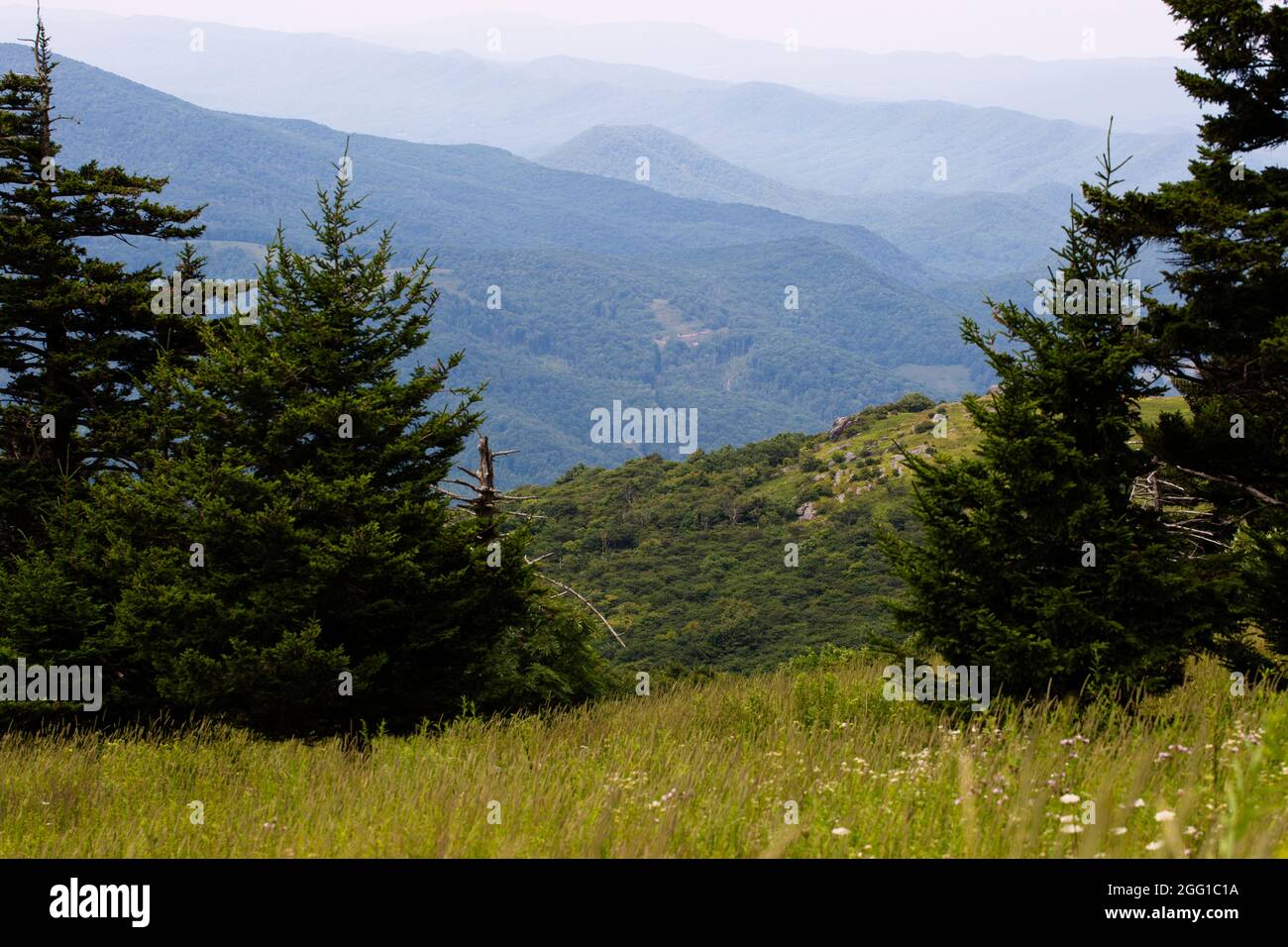 Whitetop mountain virginia hi-res stock photography and images - Alamy