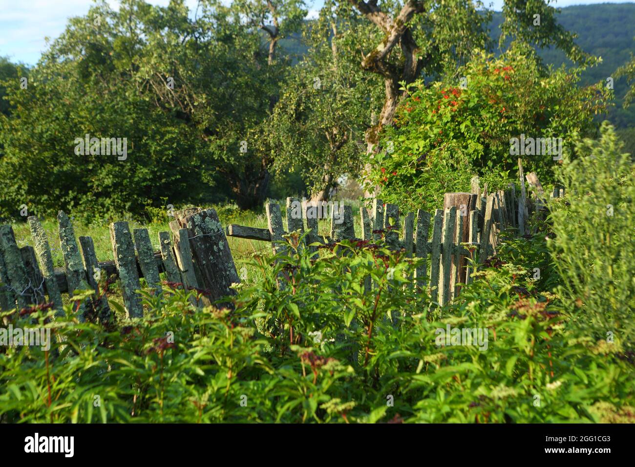 Old, wooden fence Stock Photo - Alamy