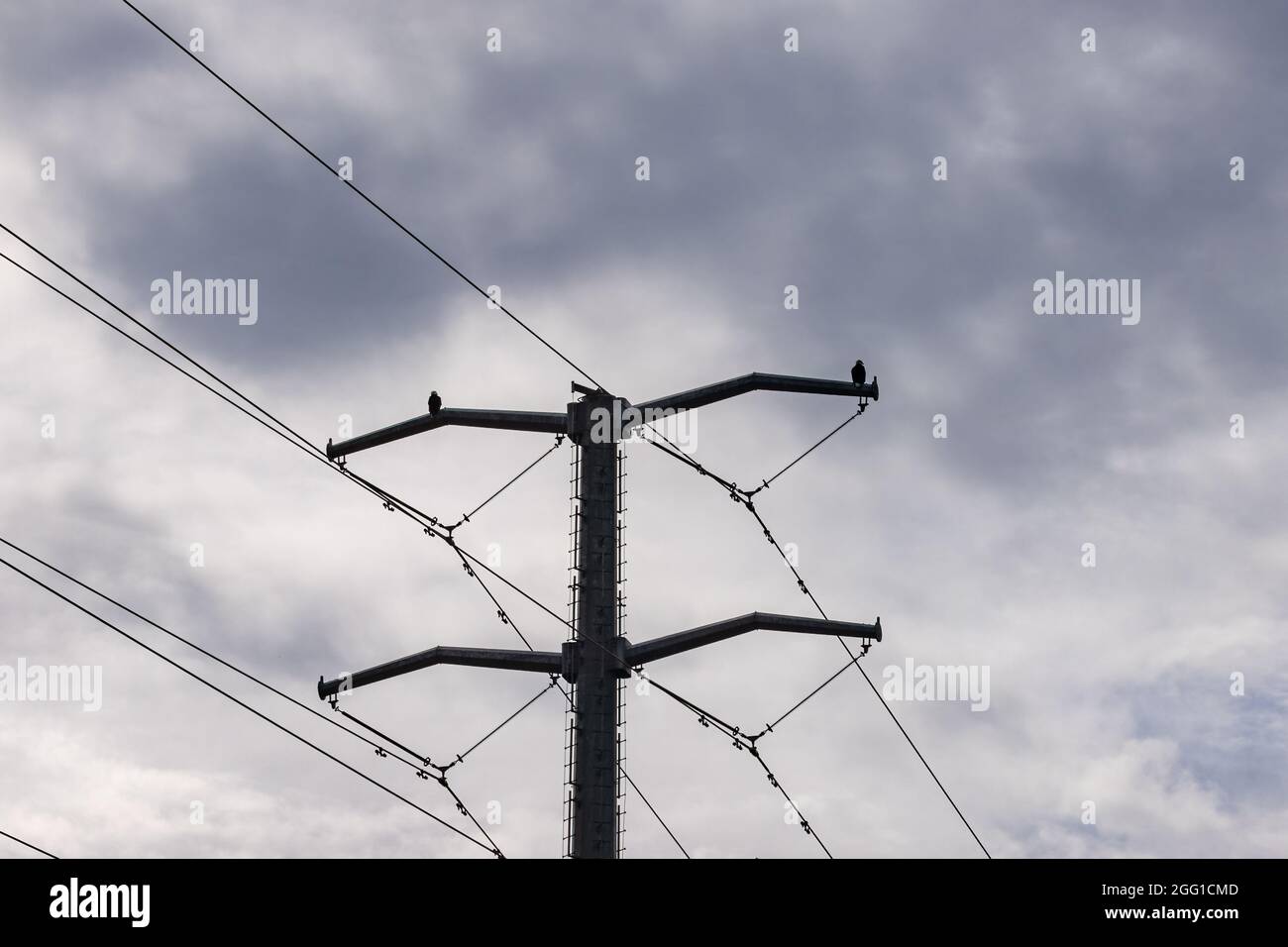 tall steel telephone pole high up against bright cloudy sky with two ...