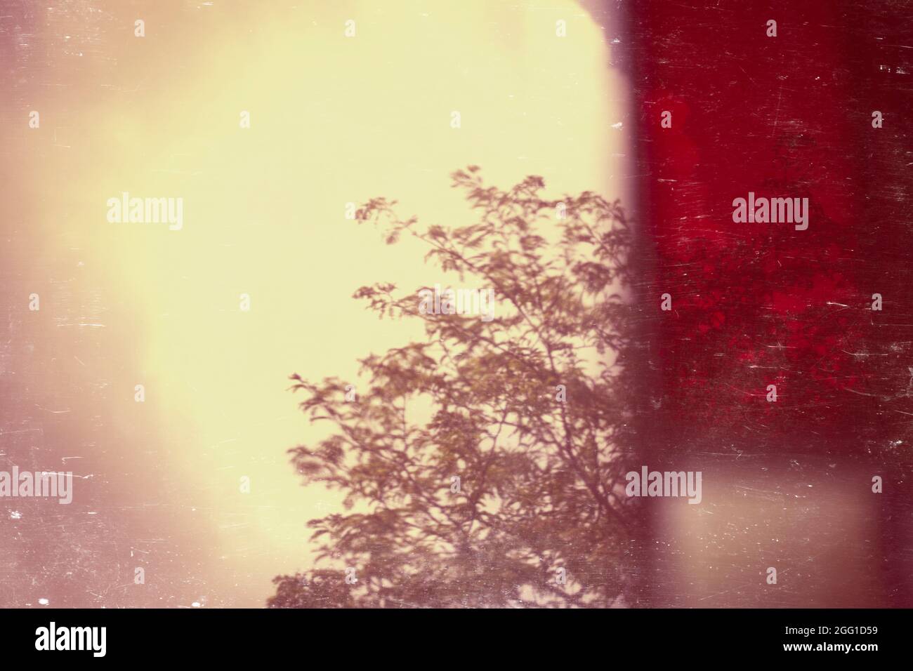 Sky and trees through a stained glass window Stock Photo - Alamy