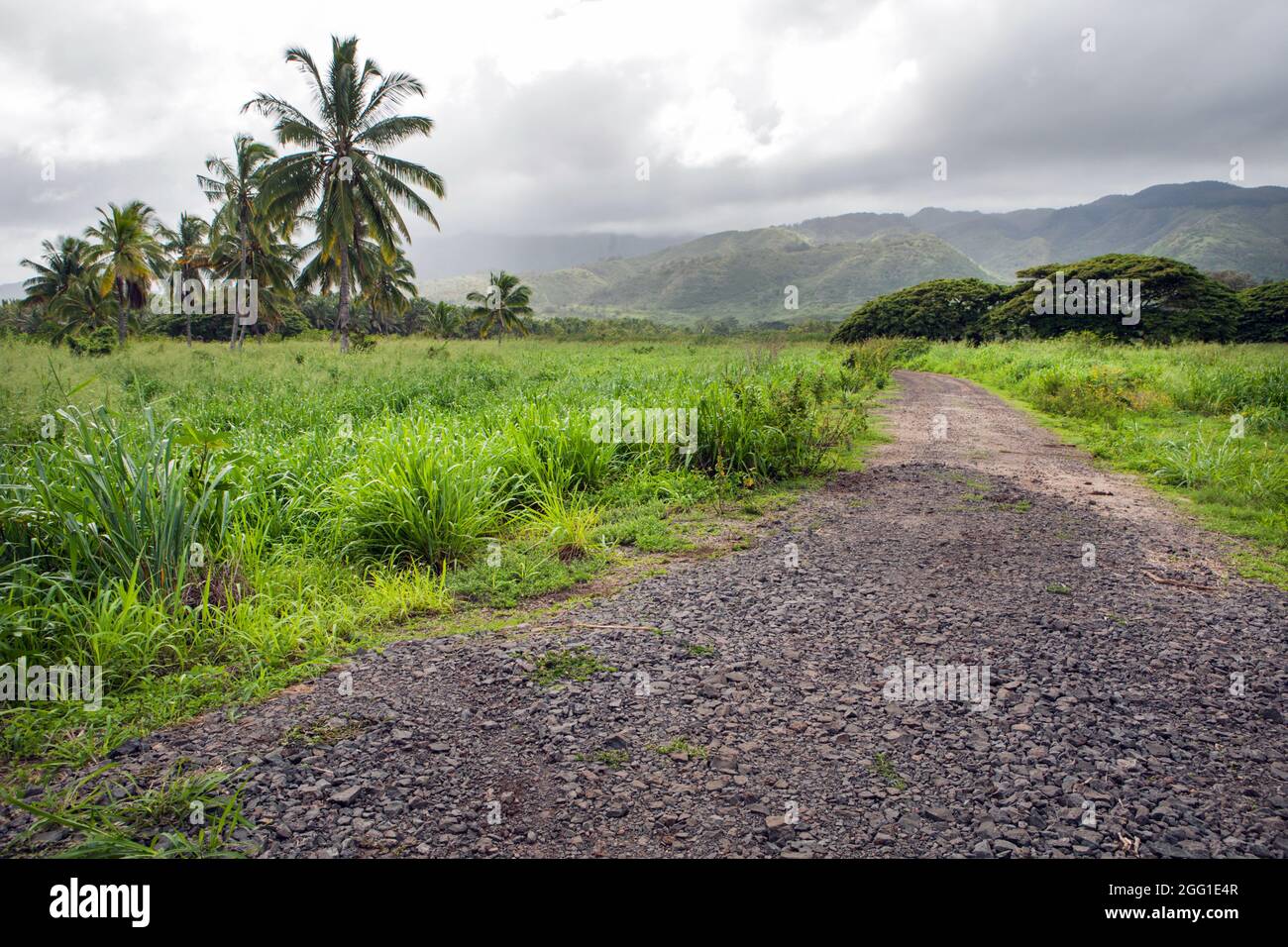 Dirt road in oahu hi-res stock photography and images - Alamy