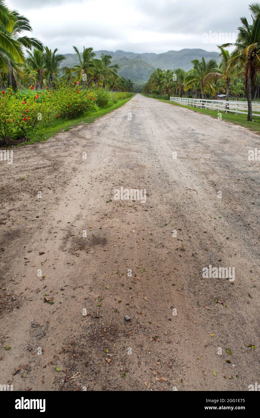 A dirt road in Oahu Island, Hawaii Stock Photo - Alamy