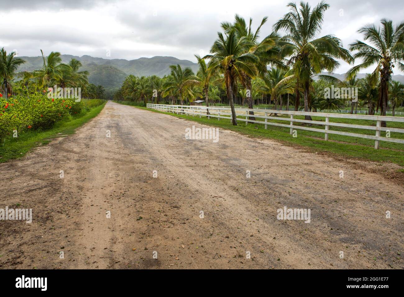 A dirt road in Oahu Island, Hawaii Stock Photo - Alamy