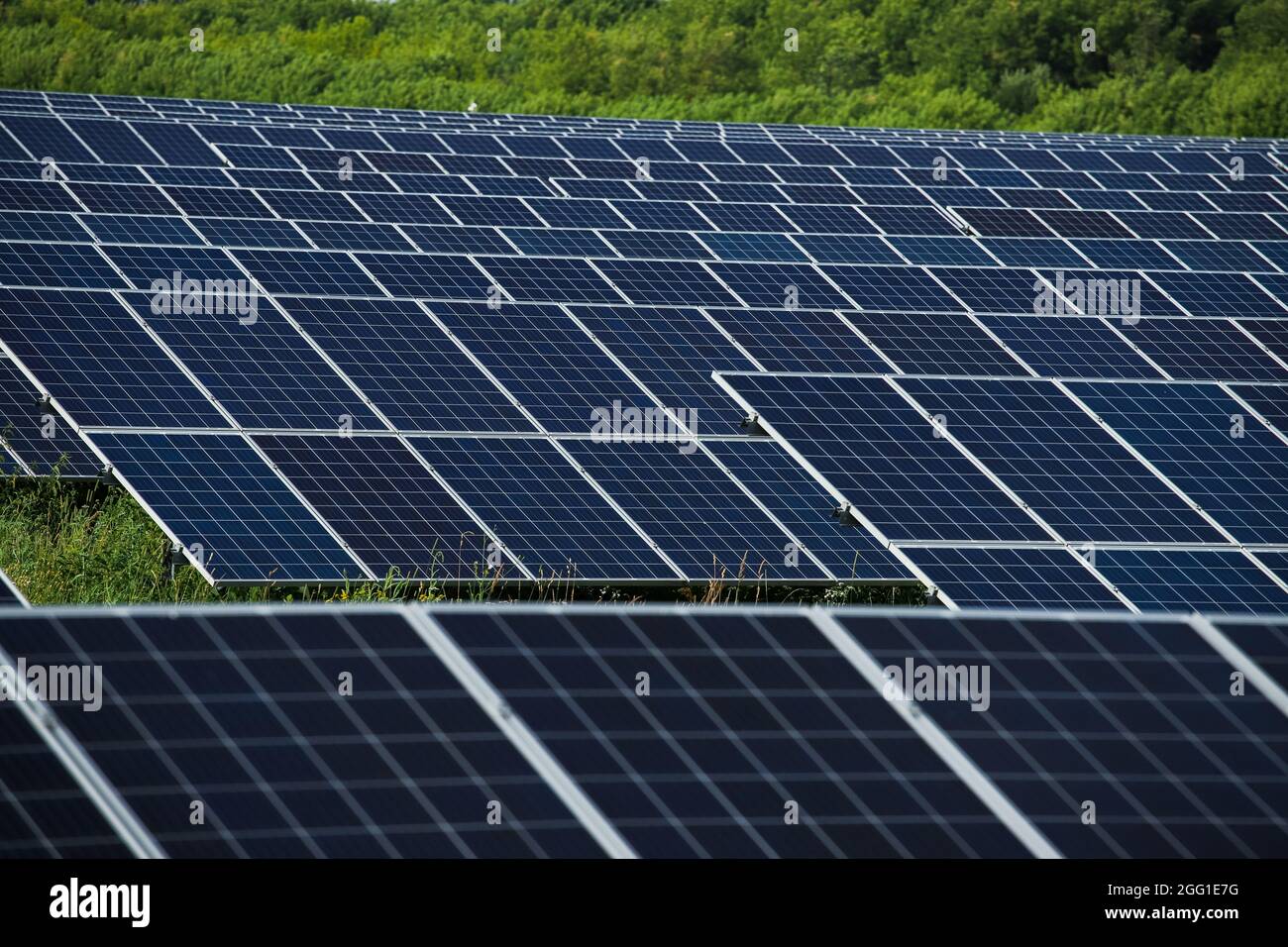 Rows of solar panels in a field. Natural energy Stock Photo - Alamy