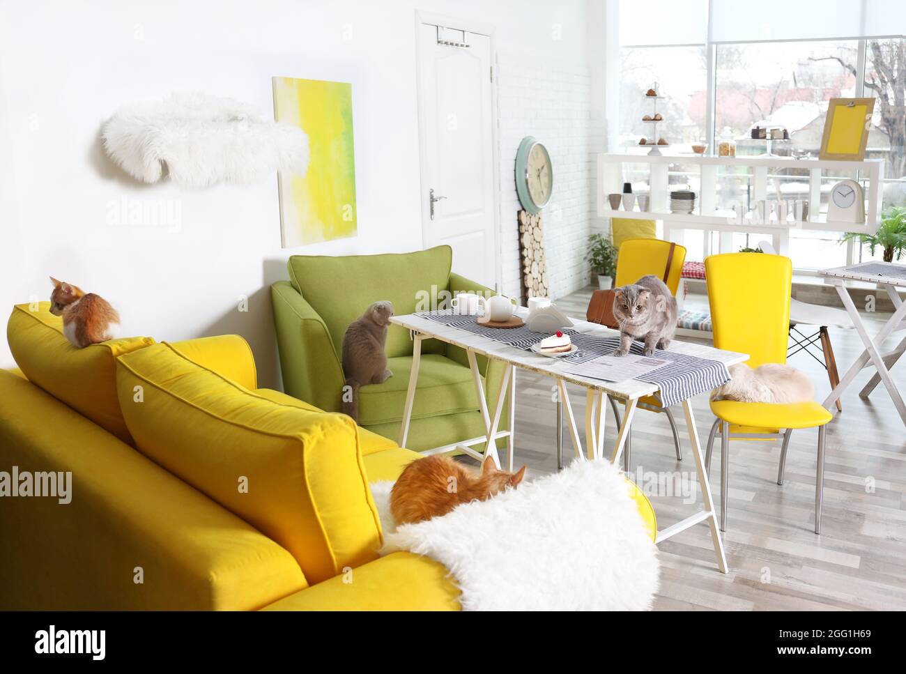 Beautiful interior of modern cat cafe Stock Photo - Alamy